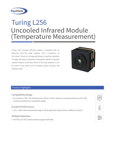 All Raythink Technology Co., Ltd. catalogs and technical brochures