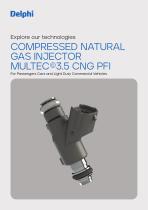 Gas injector - CNG - PHINIA Inc.