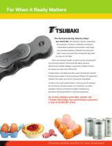 Tsubaki Products for the Food Industry - Tsubakimoto Chain - PDF ...