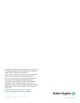 MIS Probe 2 - Panametrics, a Baker Hughes business - PDF Catalogs ...