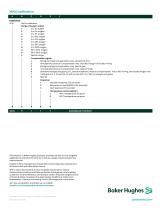 XMO2 - Panametrics, a Baker Hughes business - PDF Catalogs | Technical ...