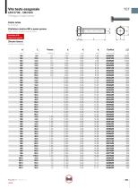 SCREWS LINE - RIVIT - PDF Catalogs | Technical Documentation | Brochure