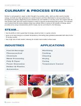 CULINARY & PROCESS STEAM - DONALDSON - PDF Catalogs | Technical ...