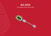 IEG ATEX 2024 - Fratelli Giacomello - PDF Catalogs | Technical ...
