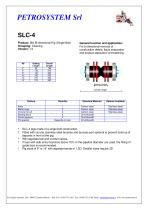 CB-6 - PETROSYSTEM - PDF Catalogs | Technical Documentation | Brochure