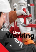Electrician helmet - H114.HSE2 - Hubix Sp. z o.o. - EN 166 / impact ...