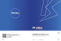Zinc-carbon battery - R6P - Shenzhen PKCELL Battery Co. Ltd - AA type ...