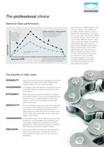 British Standard Chain Product Guide - DIAMOND CHAIN - PDF Catalogs ...