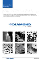Diamond Chain - DIAMOND CHAIN - PDF Catalogs | Technical Documentation ...