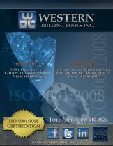 Lifting nubbins catalogue - Western Drilling Tools inc - PDF Catalogs ...