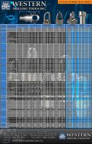 Lifting nubbins catalogue - Western Drilling Tools inc - PDF Catalogs ...