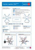 FE52 exact - Spectron Gas Control Systems GmbH - PDF Catalogs ...