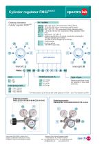 FM 52 exact - Spectron Gas Control Systems GmbH - PDF Catalogs ...