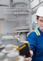 Process Brochure - KNF - PDF Catalogs | Technical Documentation | Brochure