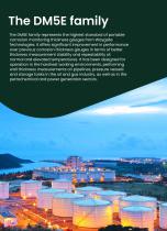 DM5E corrosion thickness gauges - Waygate Technologies - PDF Catalogs ...