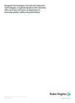 DM5E corrosion thickness gauges - Waygate Technologies - PDF Catalogs ...