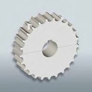 Roda dentada de dentes retos - REGINA - com cubo