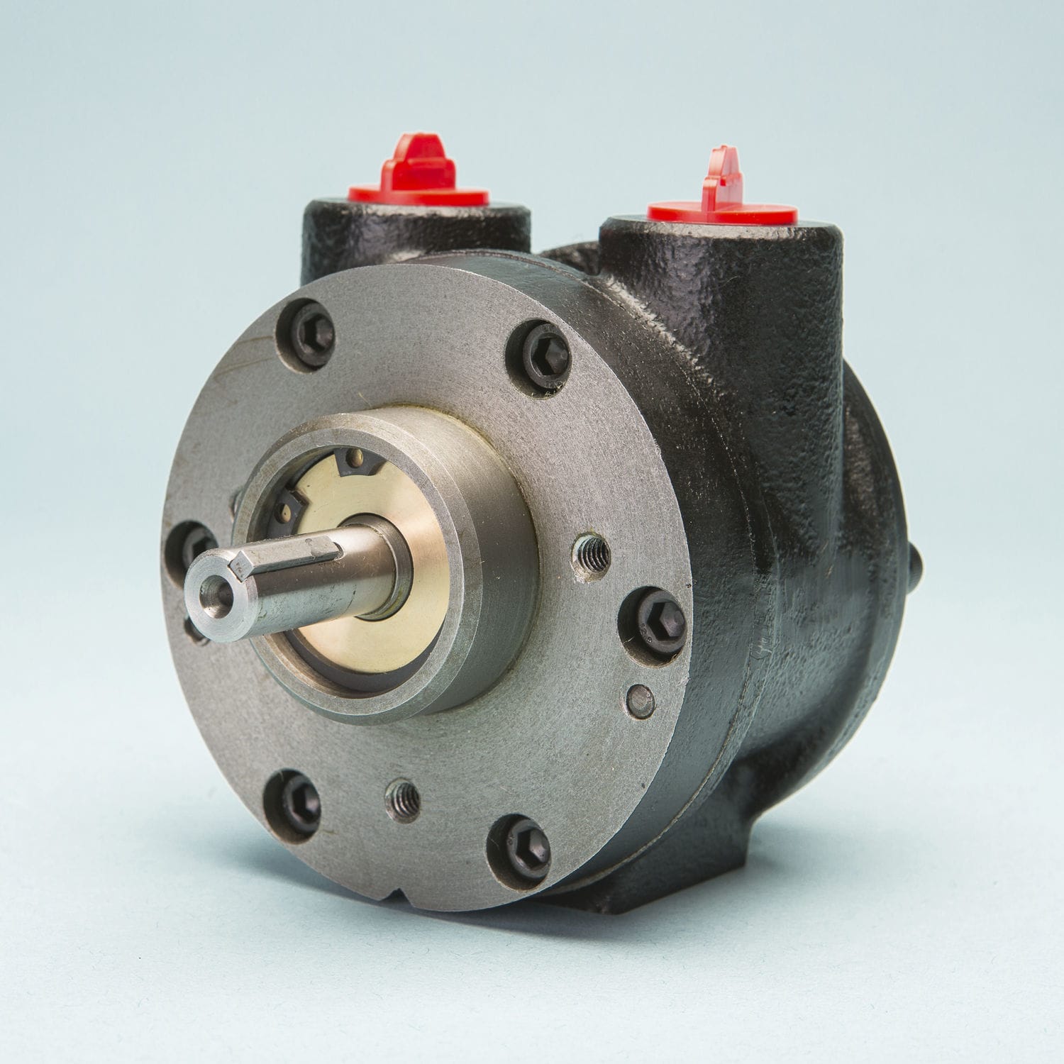 Motor pneumático de palhetas - V2 series - GLOBE Airmotors, Test ...