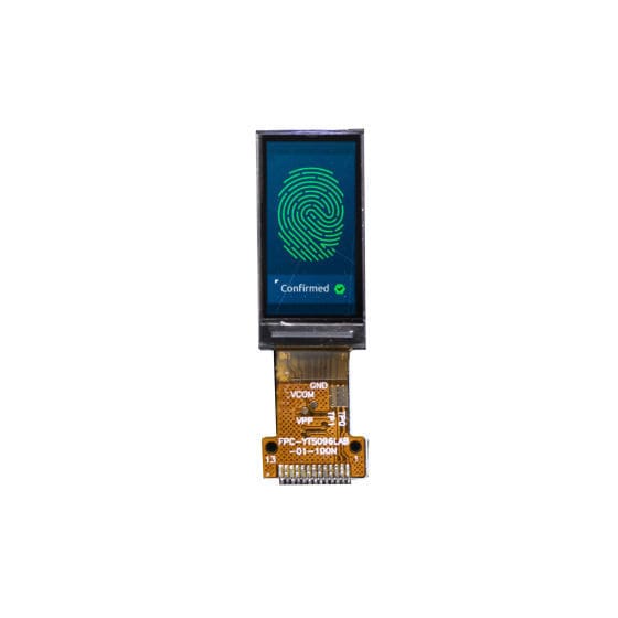 Display TFT - 10324 - Anders Electronics - IPS / em cores / 80 x 160