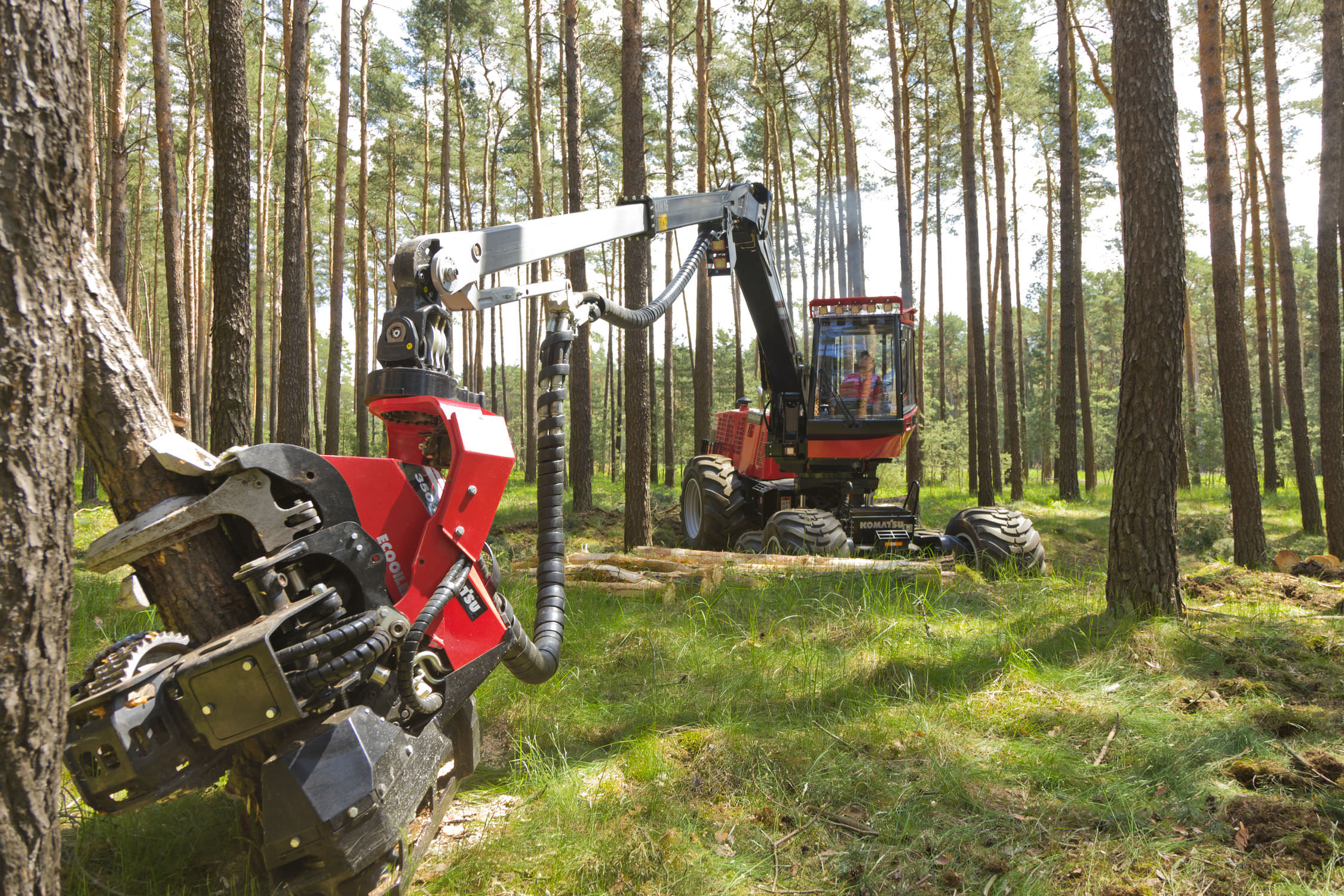 Harvester de rodas - 901 - KOMATSU Forest
