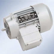 Motor tipo gaiola de esquilo - Todos os fabricantes do setor industrial