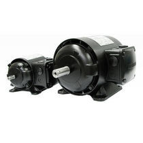 Motor tipo gaiola de esquilo - Todos os fabricantes do setor industrial