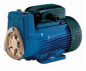 Bomba centrífuga - BG - LOWARA - de água / elétrica / autoescorvante