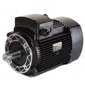 Motor de indução - YR series - FUDING BROTHERS POWER COMPANY - de rotor ...